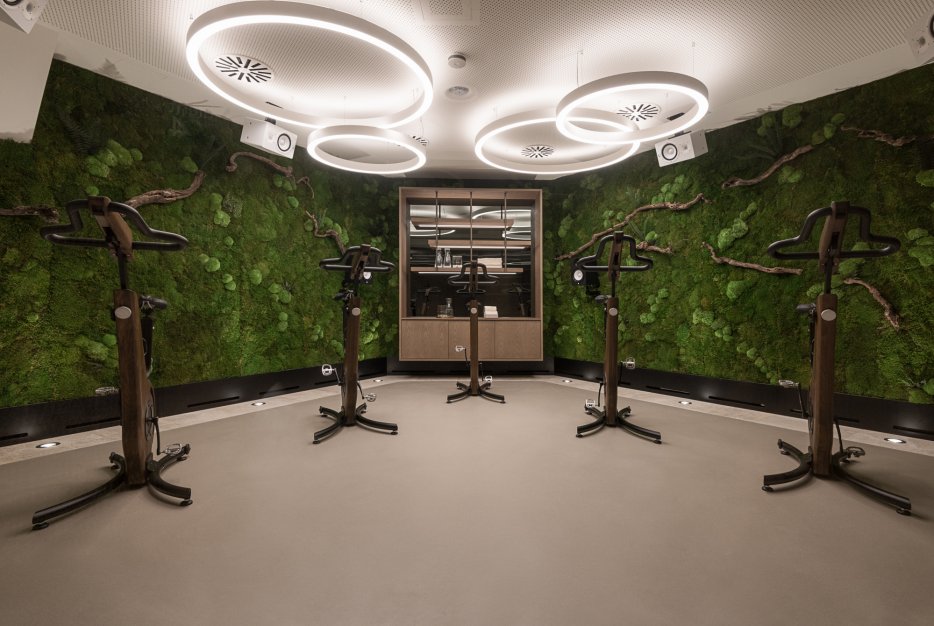 Anima Mentis - Rooms